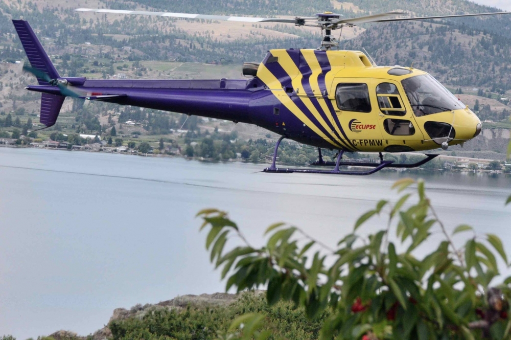 Helicopter Cherry Drying - Okanagan | Eclipse Helicopters